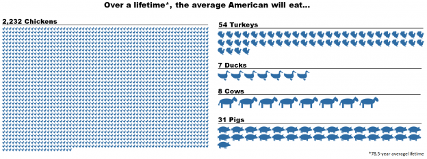 Just how many animals do Americans eat? And how many would you save by ...